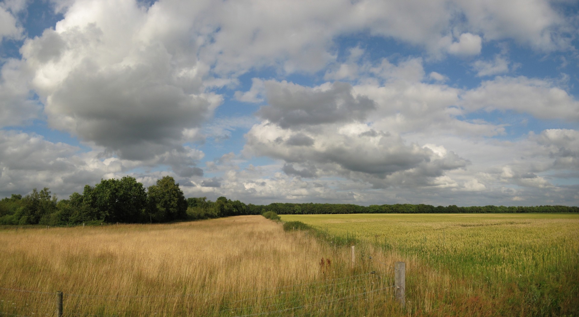 A Cloud Filled Field - High Definition, High Resolution HD Wallpapers ...